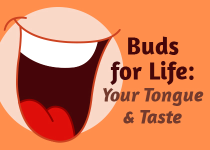 Talking About Taste Buds in Fuquay-Varina, NC ǀ Fuquay Family Dentistry